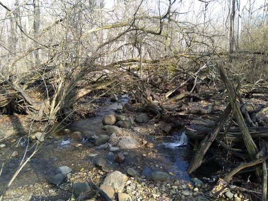 RUSH RUN PARK - Updated December 2024 - 19 Photos - 200 Broadmeadow ...