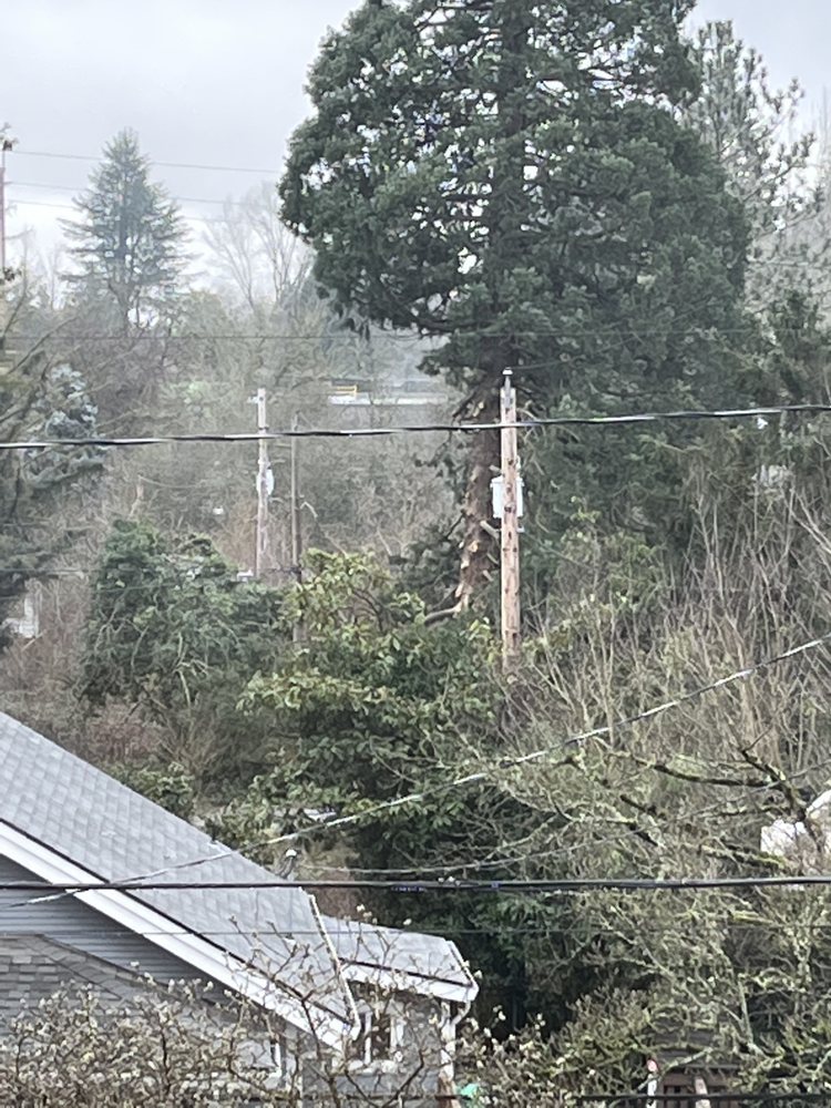 ASPLUNDH TREE EXPERT COMPANY - Updated December 2025 - 20 Reviews ...