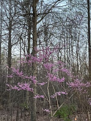 VILLAGE POINT GREENWAY AND FISHING PIER - Updated November 2025 - 14 ...