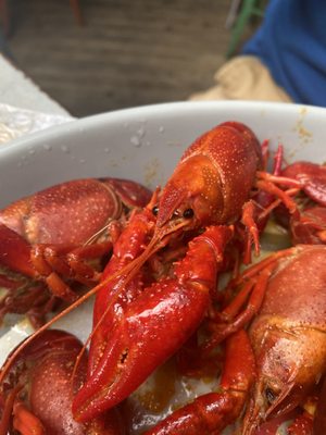 VOODOO HUT - Updated May 2025 - 222 Photos & 112 Reviews - 511 Bradford ...