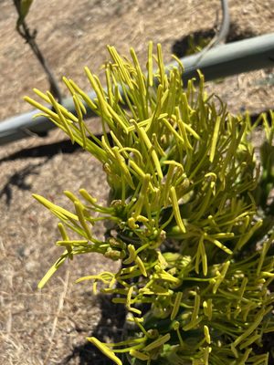 NORTH CLAIREMONT RECREATION CENTER - Updated January 2026 - 115 Photos ...