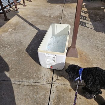 TOPOCK 66 - Updated July 2024 - 483 Photos & 341 Reviews - 14999 ...