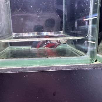 MONSTER AQUARIUM - Updated April 2025 - 68 Photos & 130 Reviews - 131 ...