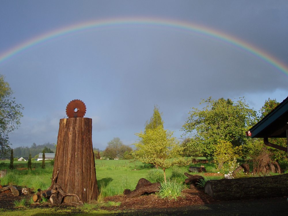 LIMBWALKER TREE CARE - Updated January 2026 - 10 Photos - Corvallis ...