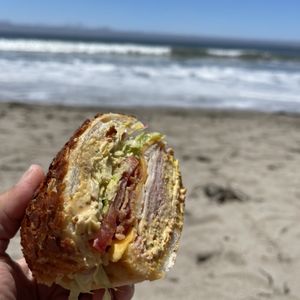 SHELL BEACH LIQUOR & DELI - 42 Photos & 67 Reviews - Beer, Wine ...