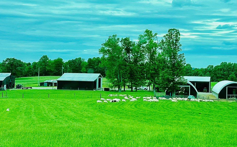 WILSON FARMS - Updated May 2024 - 328 Ky Hwy, Eubank, Kentucky - Pick ...