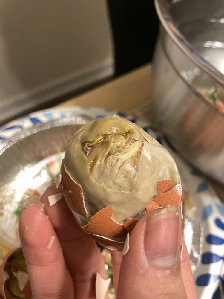 JP LAO KITCHEN - Updated May 2024 - 31 Photos & 19 Reviews - 2604 ...