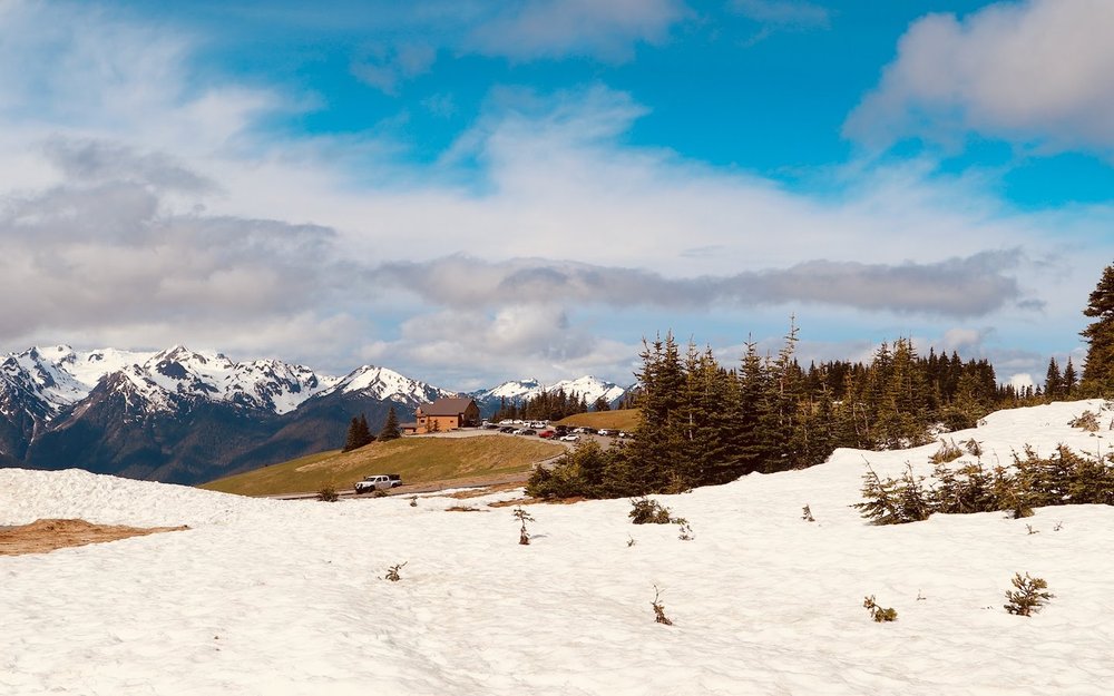 HURRICANE RIDGE | 405 Photos & 94 Reviews | 600 E Park Ave, Port ...