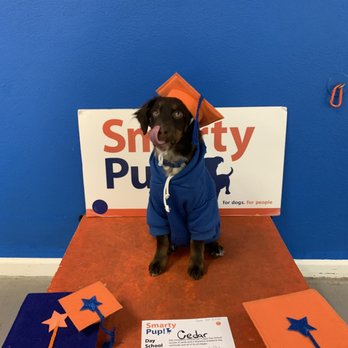 SMARTYPUP! - Updated October 2025 - 90 Photos & 46 Reviews - 3119 ...