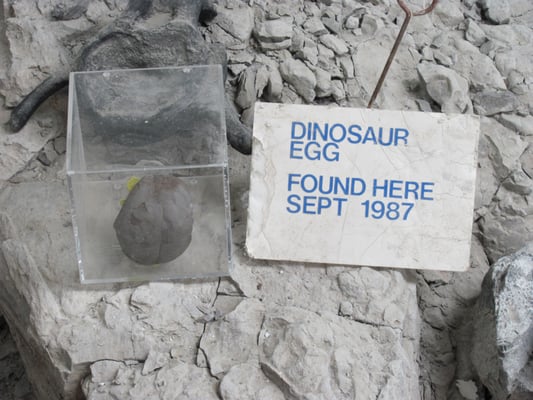 CLEVELAND-LLOYD DINOSAUR QUARRY - 19 Photos - 125 S 600th W, Price, UT ...
