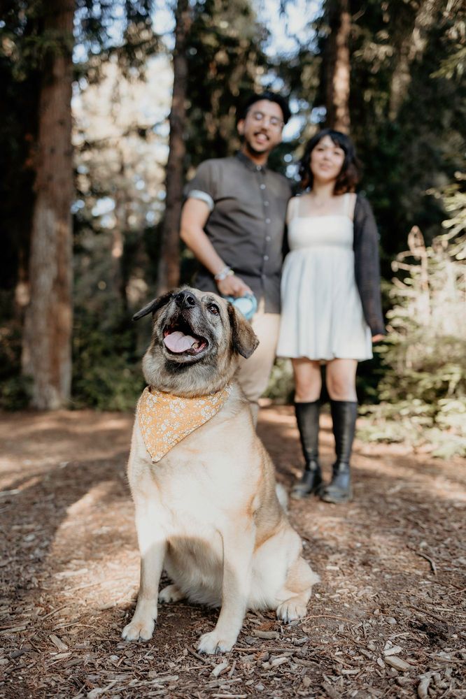 CARBON CANYON REGIONAL PARK - Updated September 2024 - 1243 Photos ...