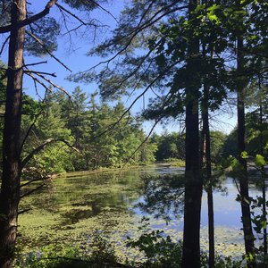 Cashman Park - 13 Photos - Parks - 202 Merriimac St, Newburyport, MA - Yelp