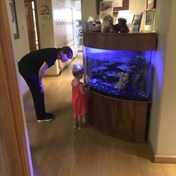 JANELLE HOLDEN, DDS - Updated July 2025 - 24 Photos & 86 Reviews - 451 Manhattan Beach Blvd ...