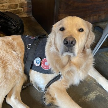 KBC - Updated July 2025 - 280 Photos & 252 Reviews - 151 North Foster ...