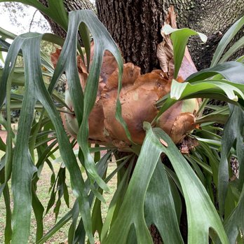 DEERFIELD BEACH ARBORETUM - Updated January 2026 - 454 Photos & 26 ...