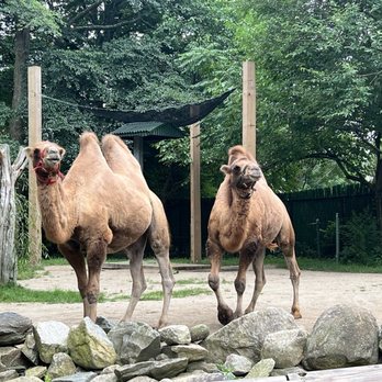 ROGER WILLIAMS PARK ZOO - Updated April 2025 - 1254 Photos & 302 ...