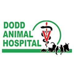 DODD ANIMAL HOSPITAL - Updated November 2025 - 29 Photos & 41 Reviews ...