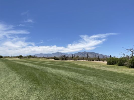 CROOKED TREE GOLF COURSE - 22 Photos & 15 Reviews - 9101 N Thornydale ...