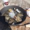 TAYLOR SHELLFISH FARMS - Updated July 2024 - 1392 Photos & 399 Reviews ...