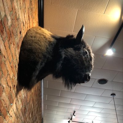 THE BISON ON MAIN - 45 Photos & 58 Reviews - 10111 Main St, Bothell, WA ...