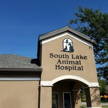 SOUTH LAKE ANIMAL HOSPITAL - Updated July 2025 - 26 Photos & 15 Reviews ...
