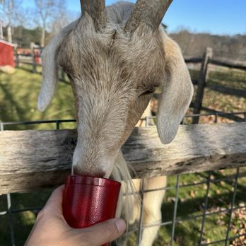 FLAMIG FARM - Updated November 2025 - 393 Photos & 73 Reviews - 7 ...