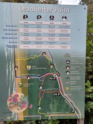 LEADBETTER POINT STATE PARK - Updated October 2025 - 40105 Stackpole Rd ...