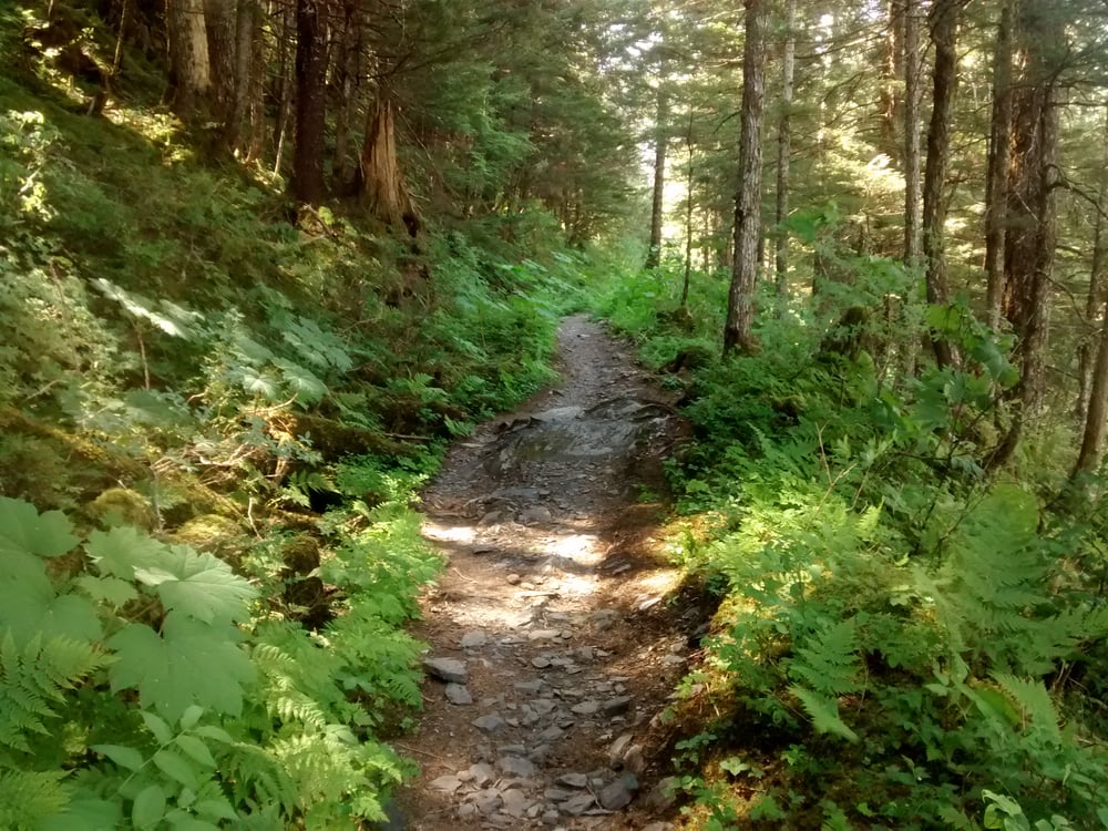 TREADWELL DITCH TRAIL - Updated August 2025 - 2913 Blueberry Hills Rd S ...