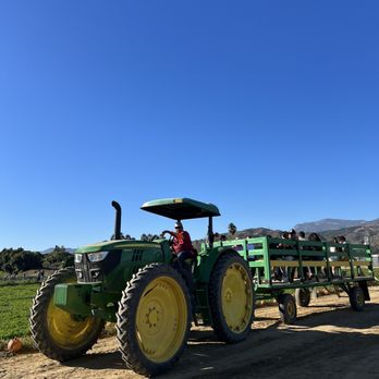 PRANCERS FARM - Updated July 2025 - 148 Photos & 44 Reviews - 18540 E ...