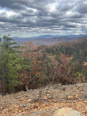 WILDSIDE - Updated May 2025 - 31 Photos - 1105 Laurel Lick Rd, Pigeon ...