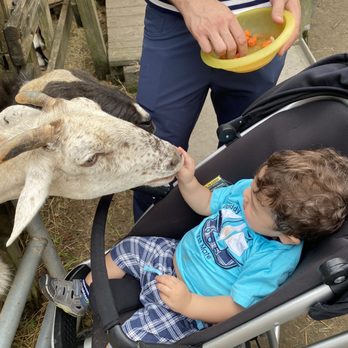 HAPPI FARM - Updated September 2025 - 367 Photos & 150 Reviews - 10251 ...