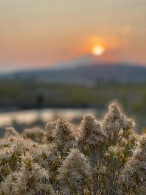 HEART SIX GUEST RANCH - Updated September 2025 - 239 Photos & 194 ...