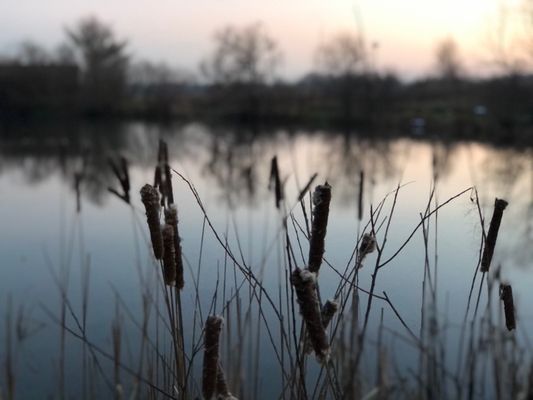 CHIPPEWA LAKE - Updated May 2026 - 18 Photos - 7597 Ballash Rd, Medina ...