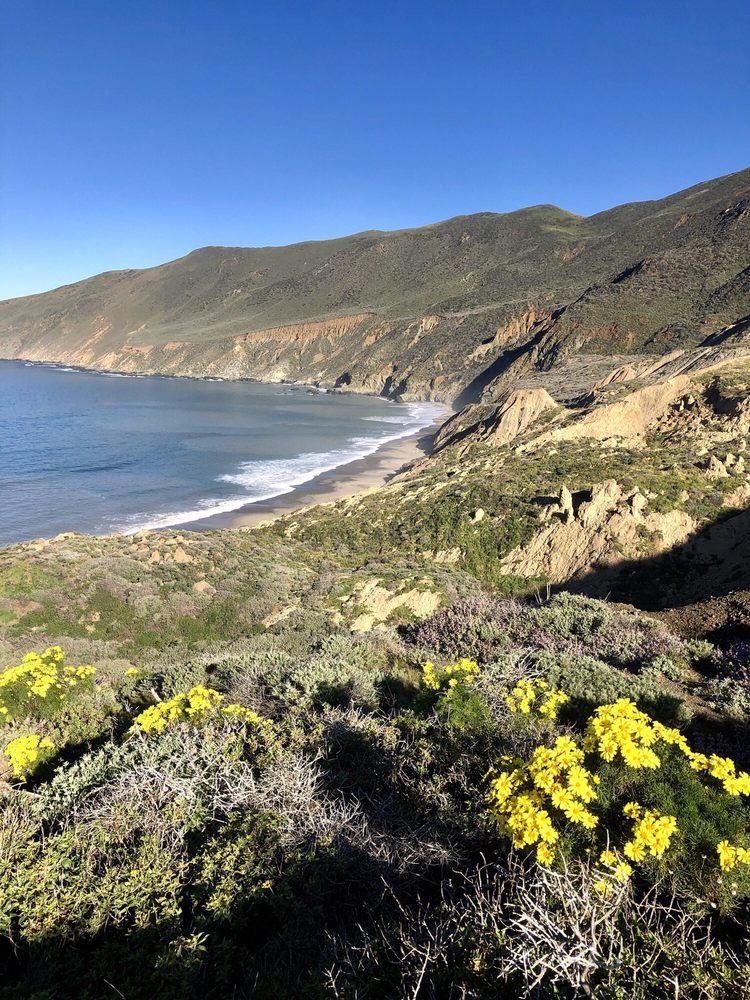 POINT SAL STATE BEACH - 18 Photos - Beaches - Brown Rd Point Sal Rd ...