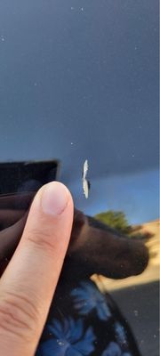 PACIFIC RIM MECHANICAL - Updated December 2025 - 39 Photos - 9125 Rehco ...