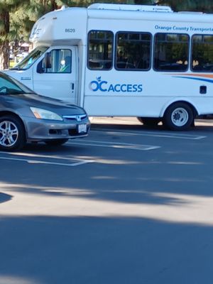 OCTA ACCESS - Updated November 2025 - 15 Photos & 26 Reviews - 319 East ...