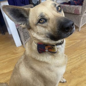 LOS RANCHOS BAKERY - 134 Photos & 69 Reviews - 6920 4th St NW, Los ...