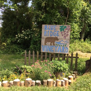 BLUE RIDGE VINEYARD - Updated November 2025 - 22 Photos & 26 Reviews ...