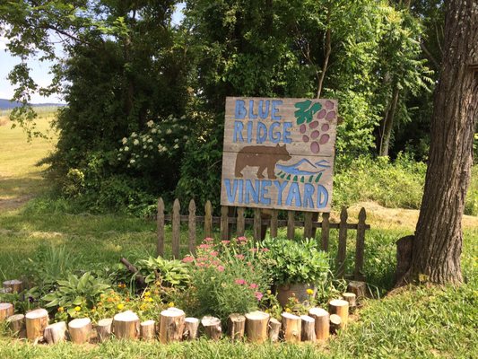 BLUE RIDGE VINEYARD - Updated November 2025 - 22 Photos & 26 Reviews ...