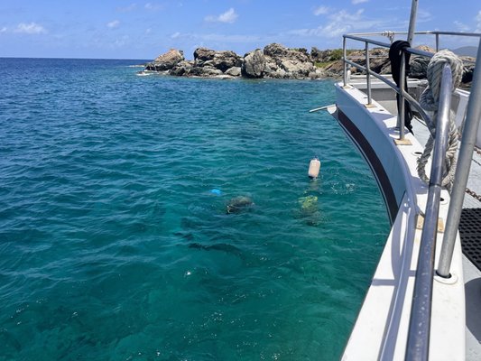 BOSS UNDERWATER ADVENTURE - Updated October 2024 - 45 Photos & 25 ...