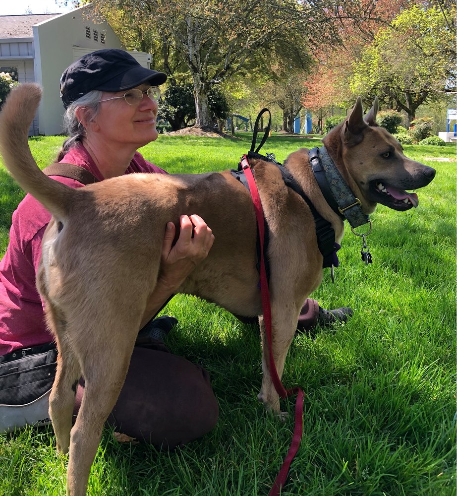 KATE’S DOGS - Request Consultation - 39182 Golden Valley Dr, Lebanon ...