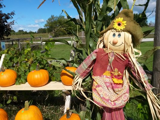 PLUM LOCO ANIMAL FARM - Updated March 2025 - 32 Photos & 27 Reviews ...