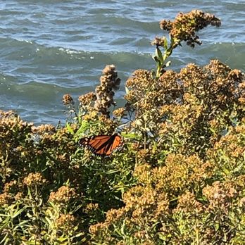 SACHUEST POINT NATIONAL WILDLIFE REFUGE - 151 Photos & 52 Reviews - 769 ...