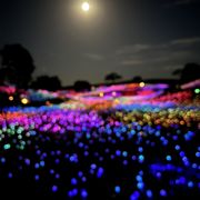 SENSORIO - Updated May 2025 - 2913 Photos & 592 Reviews - 4380 Hwy 46 E ...