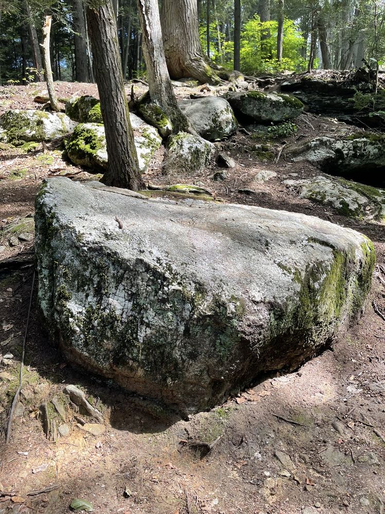 DAY POND STATE PARK - 28 Photos - Day Pond Rd, Colchester, CT - Yelp