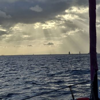 PINK SAILS WAIKIKI - Updated December 2024 - 812 Photos & 583 Reviews ...