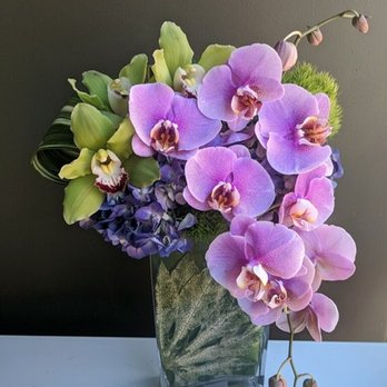 Photos of MUDD FLEUR - Updated August 2024 - 42 Photos & 21 Reviews ...