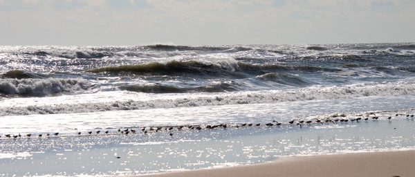 CRYDER BEACH - Updated December 2025 - 17 Cryder Ln, Southampton, New ...