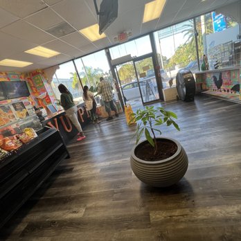 YUPPI - Updated September 2024 - 227 Photos & 131 Reviews - 4914 E ...