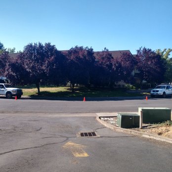 GOOD BLOKE TREE CARE - Updated October 2025 - 12 Photos - Central Point ...